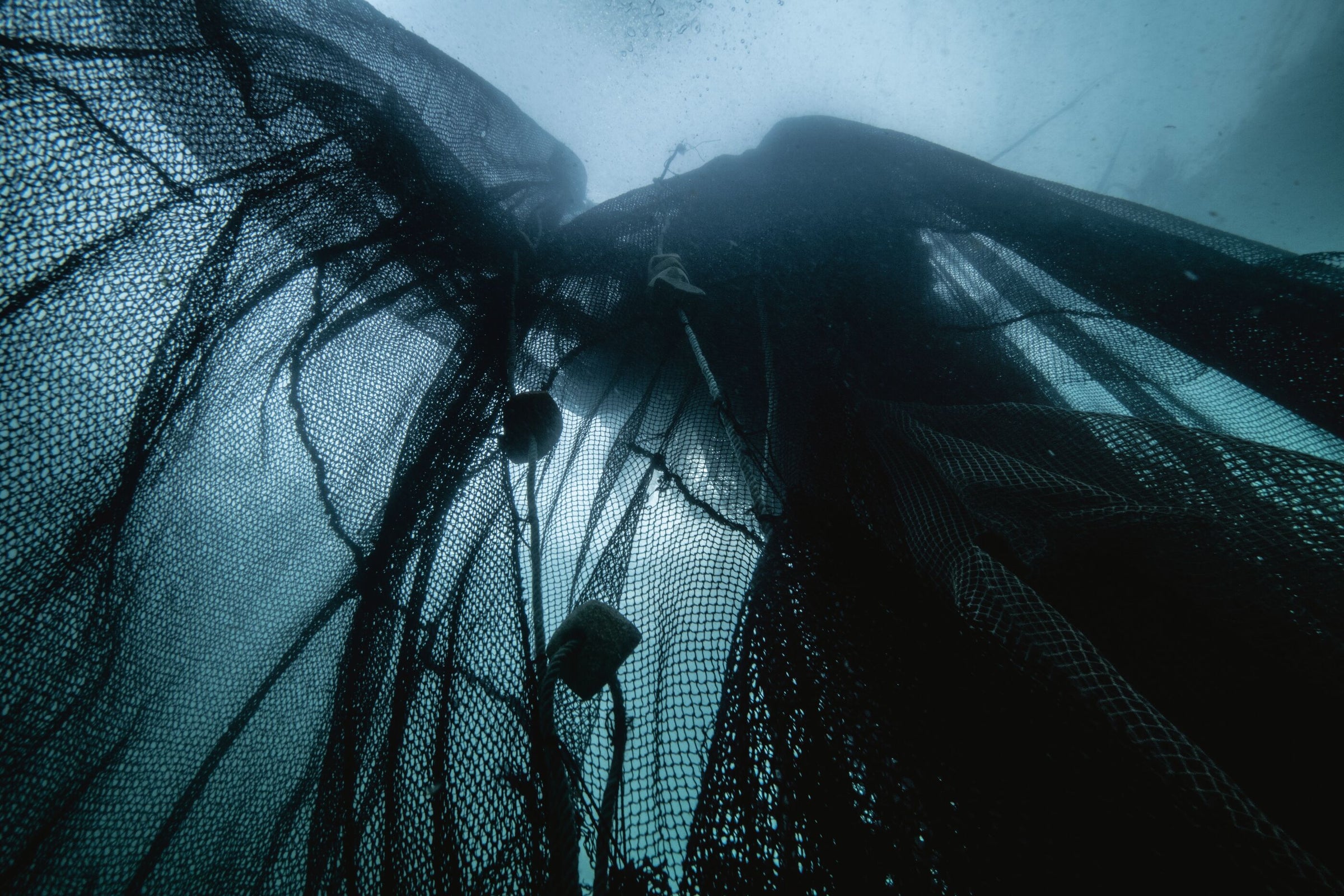 NetPlus® Recycled Fishing Nets