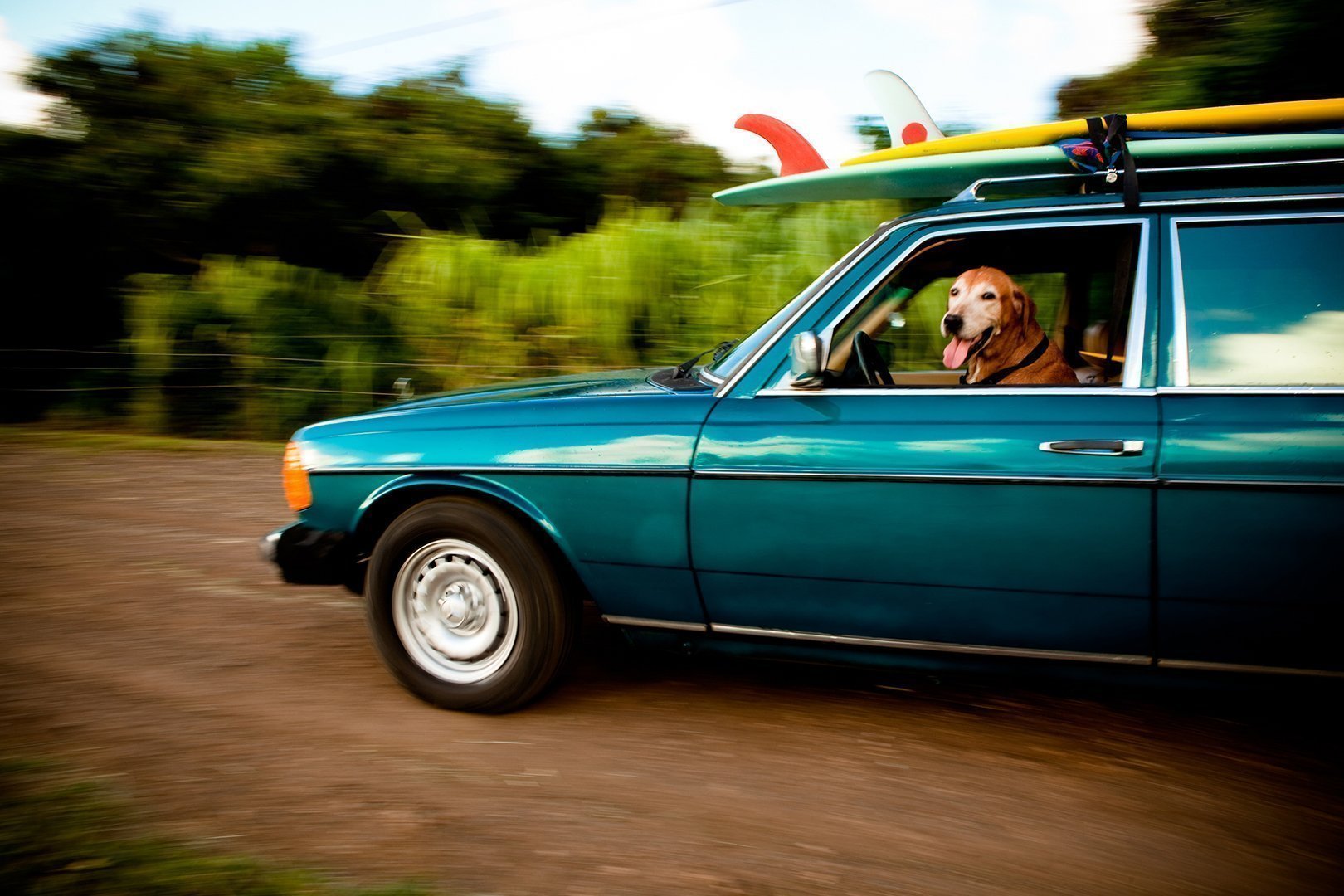 Women's Tops Size Chart & Fit Guide